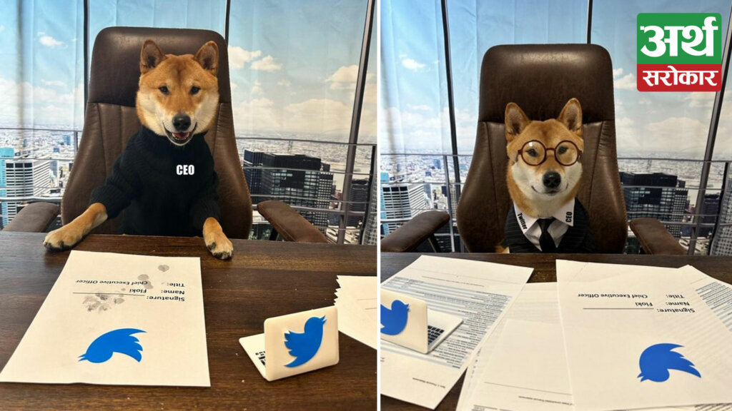 ट्वीटरको सीईओमा कुकुर नियुक्त, एलन मस्क भन्छन्- ‘सीईओ पदका लागि सही छ ...