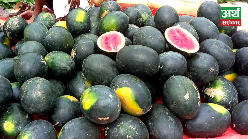 तरबुजा बेचेर ३ महिनामा १० लाखको कारोबार, नाफामात्रै ५ लाख ! – Artha ...