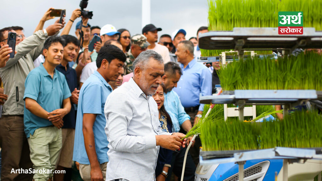 22nd National Rice Day Celebration in Nepal: Agriculture Minister's ...